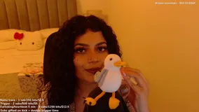 ASMR Streaming - Live Streams on Kick